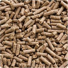 Inny Organic Products Ltd | Premium Organic Animal Feed